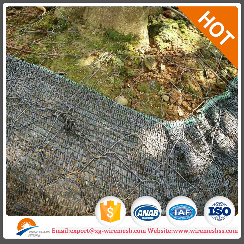 XiangGuang Stainless Steel Wire Mesh: Tree Wire Basket / Rootball ...