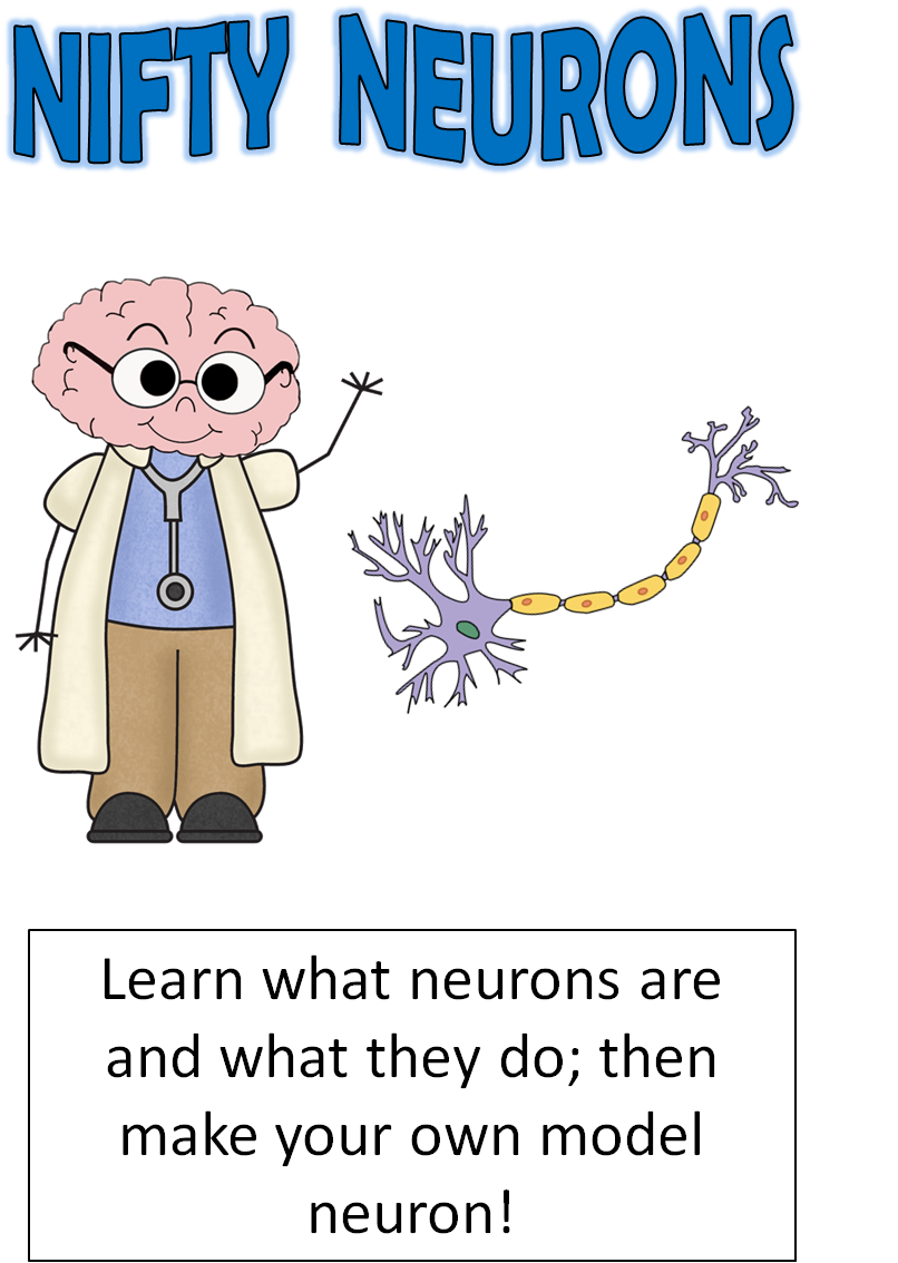 FUN WAYS TO CELEBRATE BRAIN AWARENESS WEEK - Keep ‘em Thinking