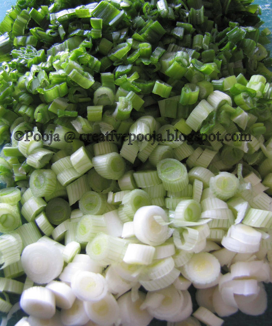 My Creative Ideas: How to choose Spring Onions