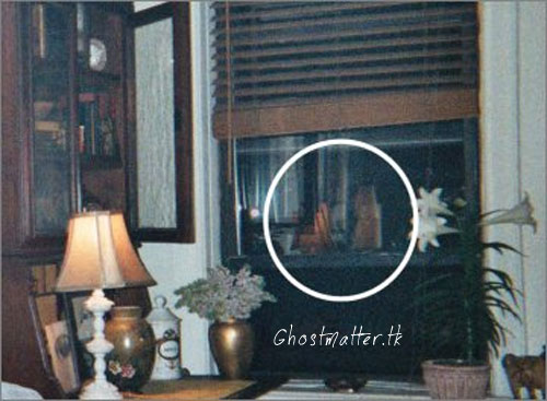 Ghost Face | Alien Face In Window | Sad Screaming Ghost Head | Ghost Bhoot