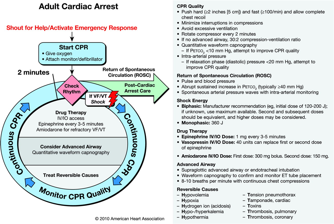 TENTANG JANTUNG: NEW ACLS 2010 AHA GUIDELINES