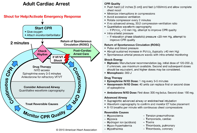 TENTANG JANTUNG: NEW ACLS 2010 AHA GUIDELINES
