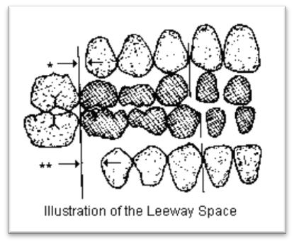 VIAGEM PELA ORTODONTIA: Leeway Space