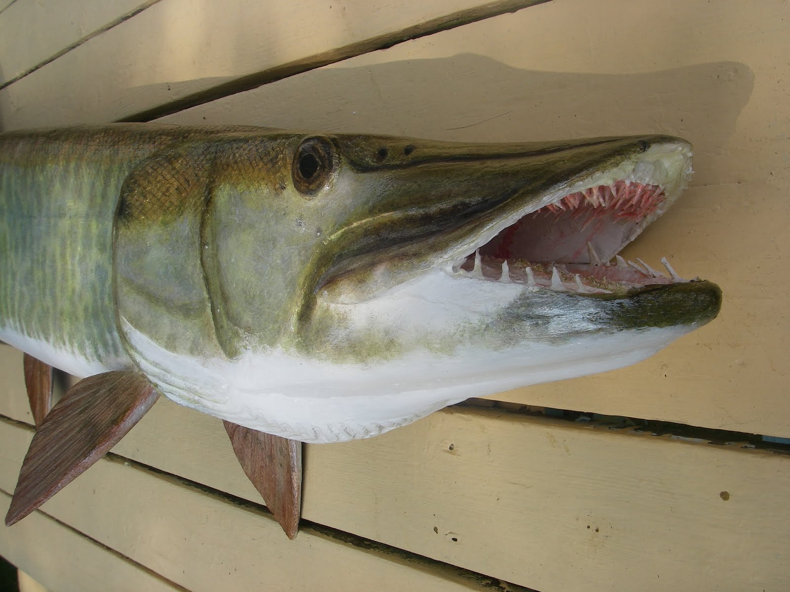 charles-weiss-art-finished-painting-big-muskie-carving