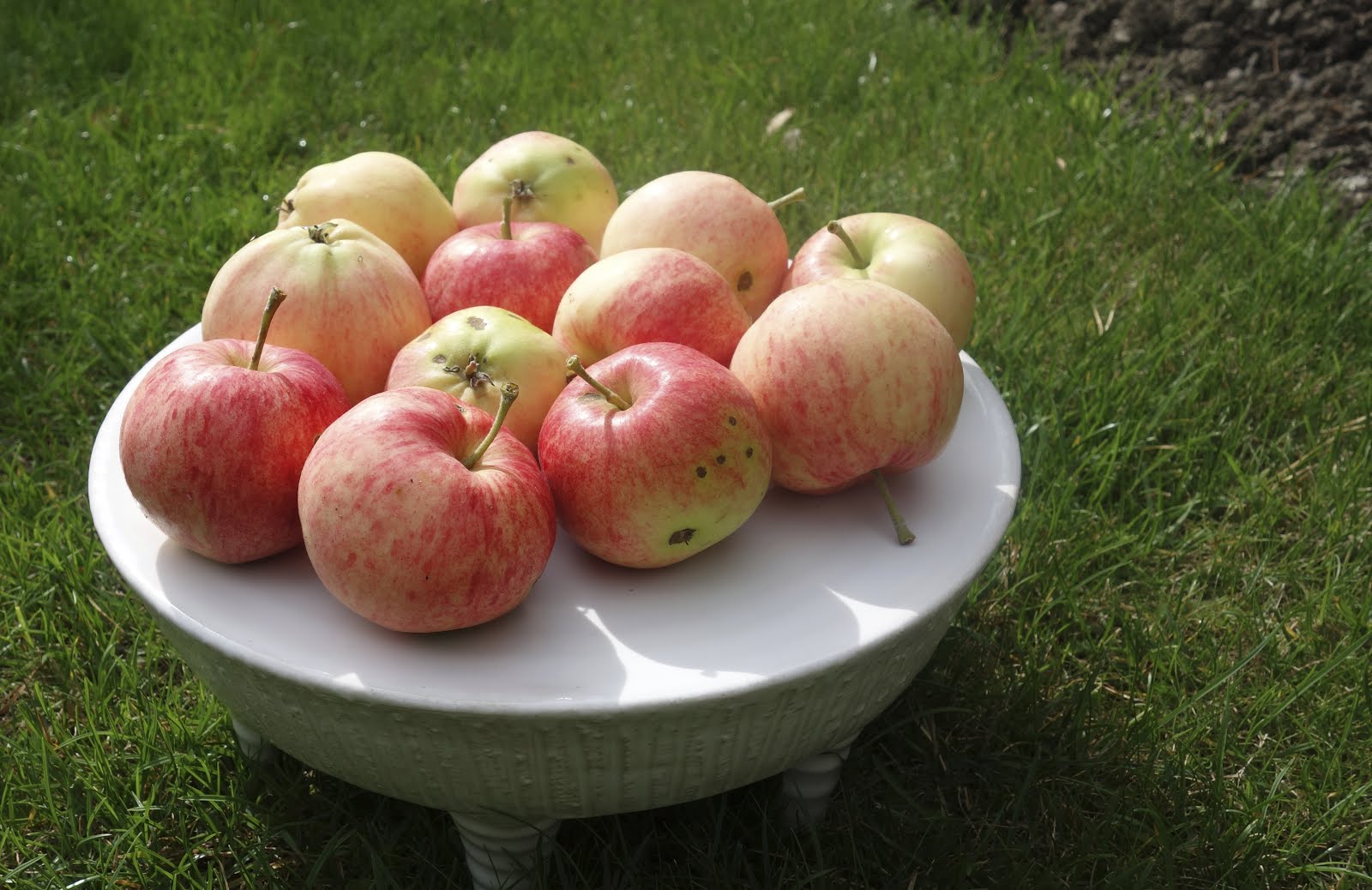 Svenska äpplen: september 2016