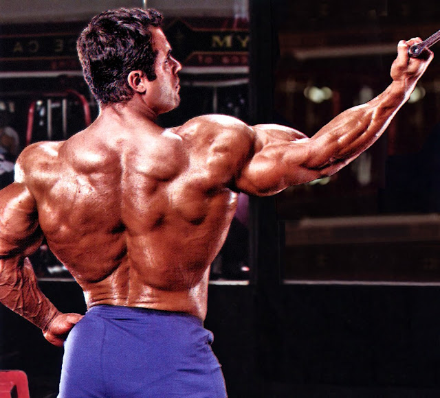 Knights of Bodybuilding: MOE EL MOUSSAWI 2