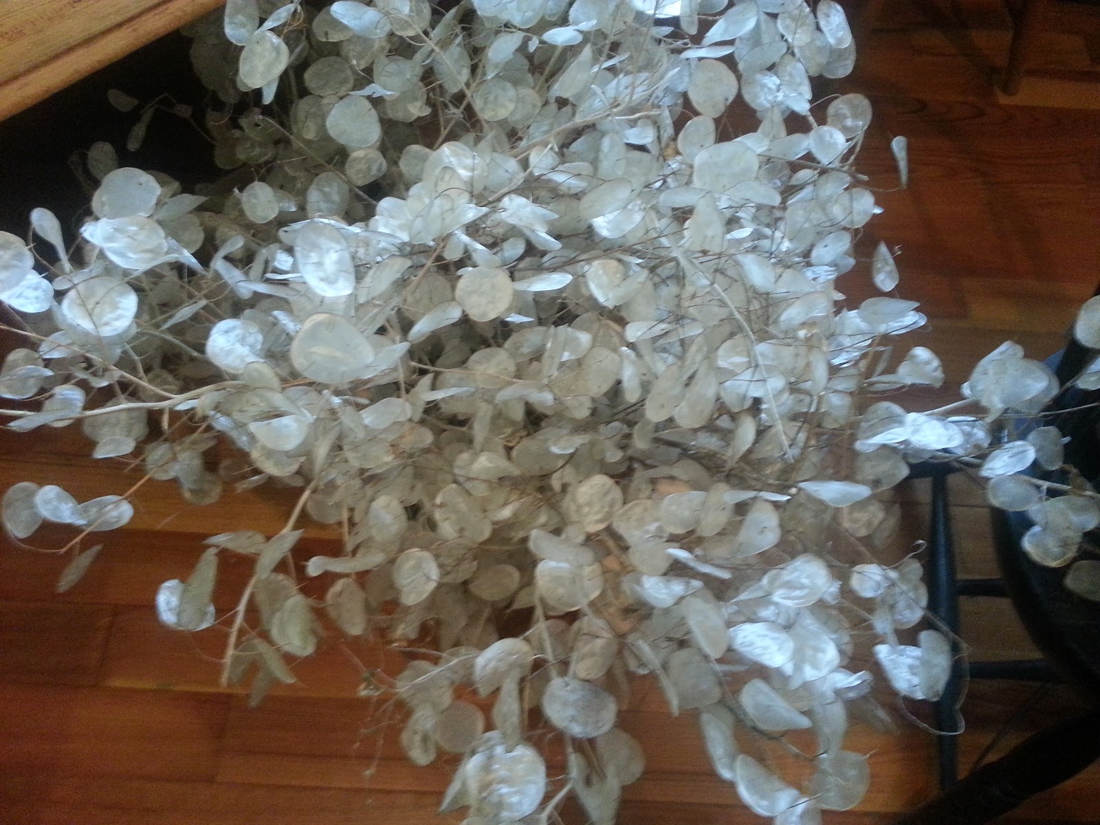 FlewTheCoop: A PENNY FOR YOUR THOUGHTS