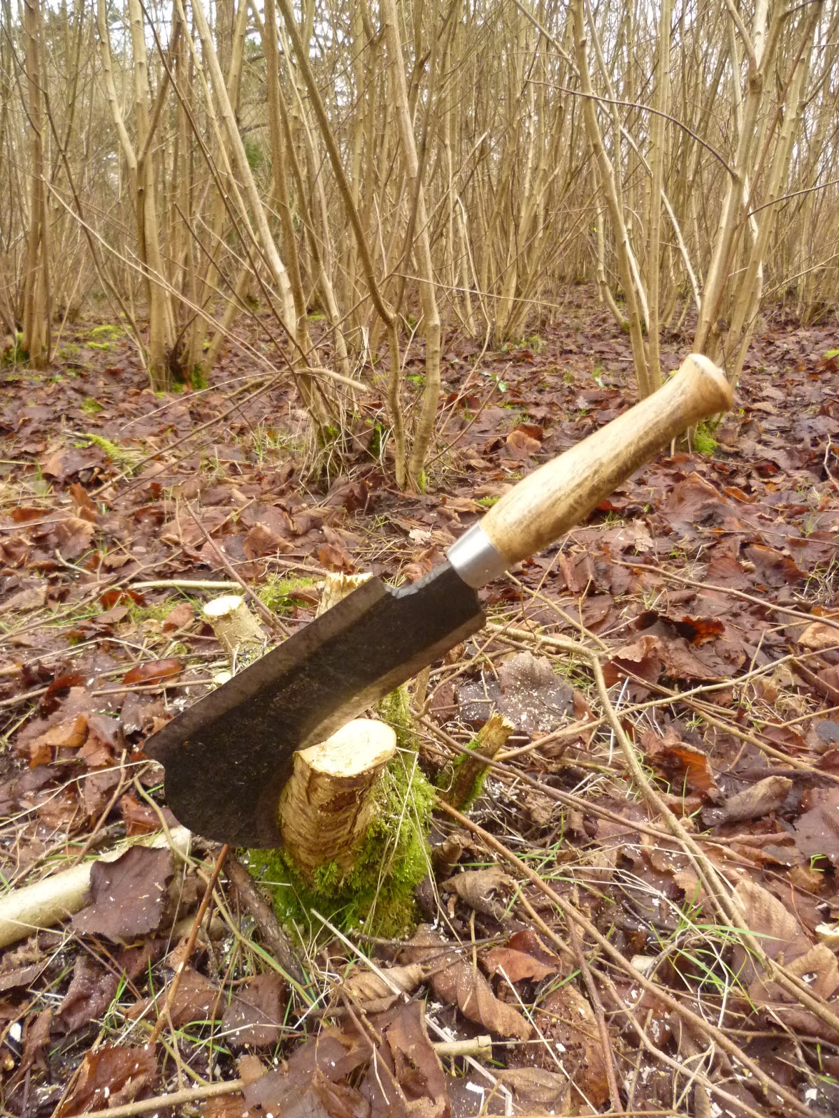 Worcester College Gardeners 2009-2018: Coppicing Hazel And Silver Birch