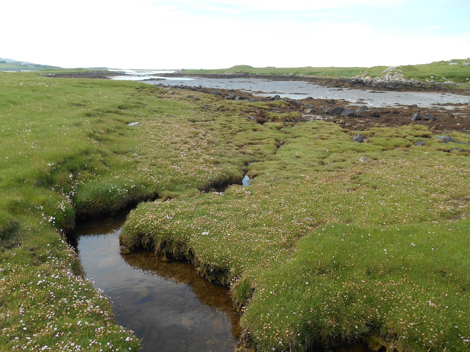 A lifetime of Islands: Island 336 - Morornish, Vallay, North Uist