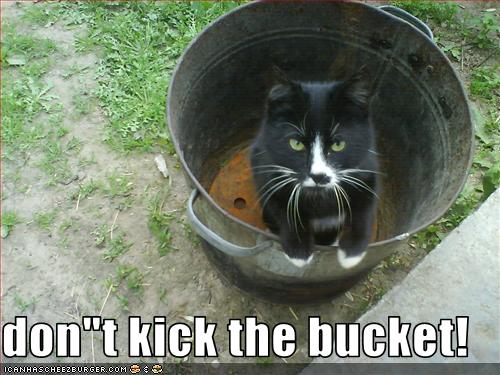 COOL English BOX: Kick The Bucket-idioms