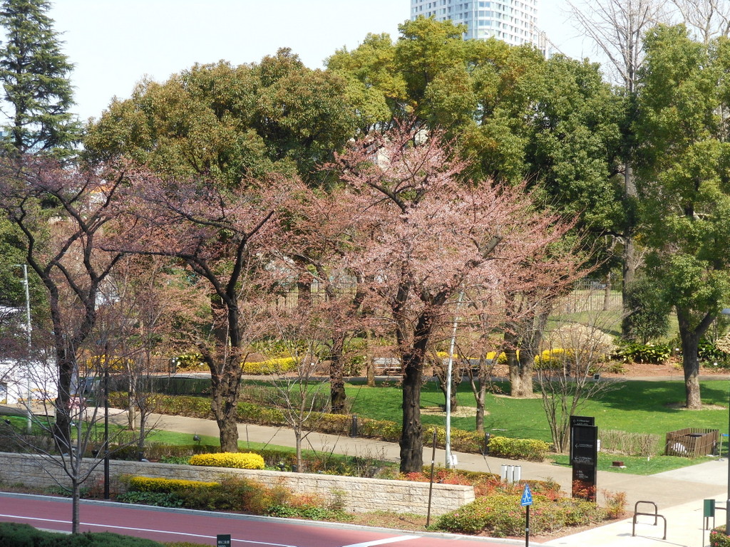 Aerides Designs - Handcrafted Gemstone Jewelry