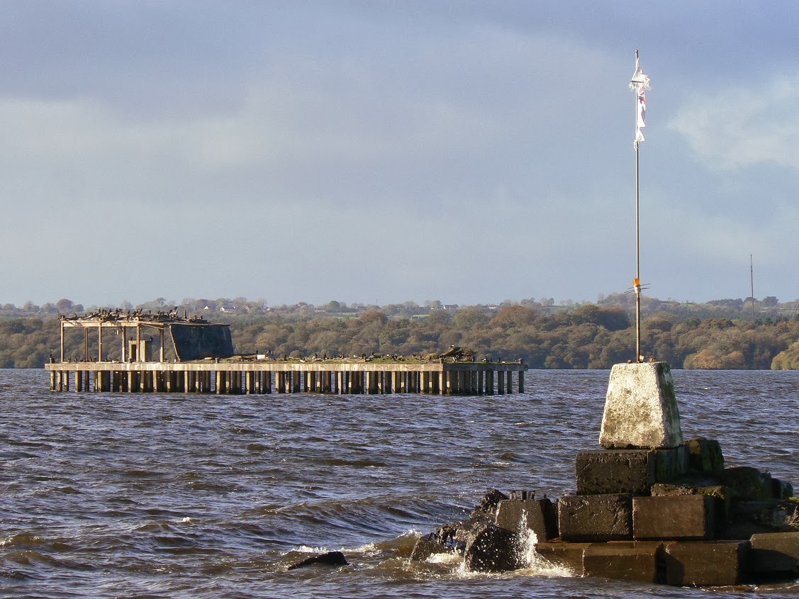 A Field Notebook: Antrim Lough Shore Park, Lough Neagh, Northern Ireland