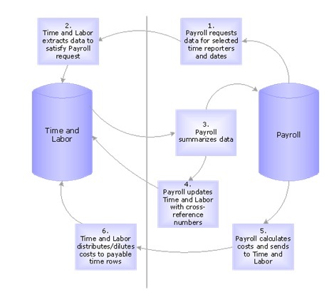 My Basic Knowledge: PeopleSoft Time and Labour Insight