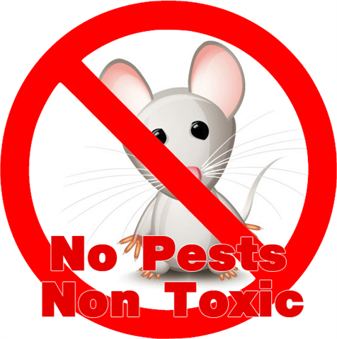 10 วิธีไล่หนูออกจากบ้านโดยไม่ต้องฆ่า ~ RAT TERMINATOR บริการกำจัดหนู ...