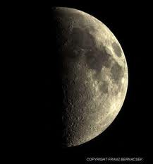 Gradinarit anotimp cu anotimp: Gradinarit in functie de fazele lunii - 2