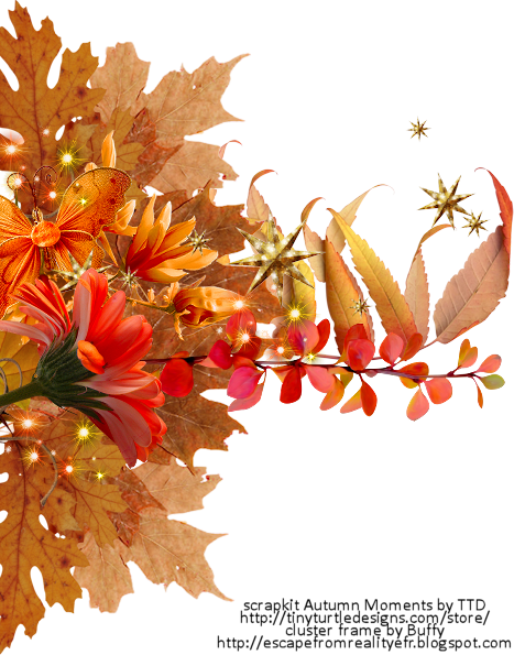 Escape From Reality Blog: FTU 'Autumn Moments' Clusters, Cluster Frames ...