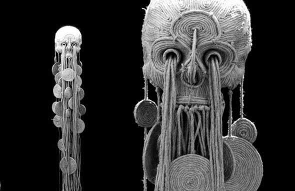 Parce que fraise !: Jim skull, un calédonien à Paris