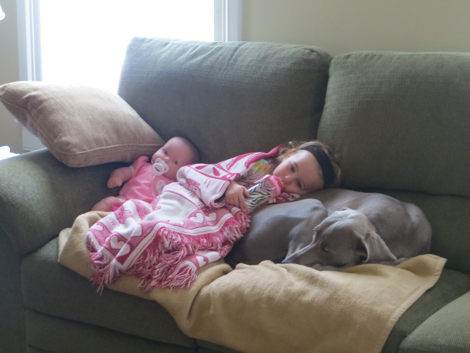 jillgoes: Canoodling on the Couch