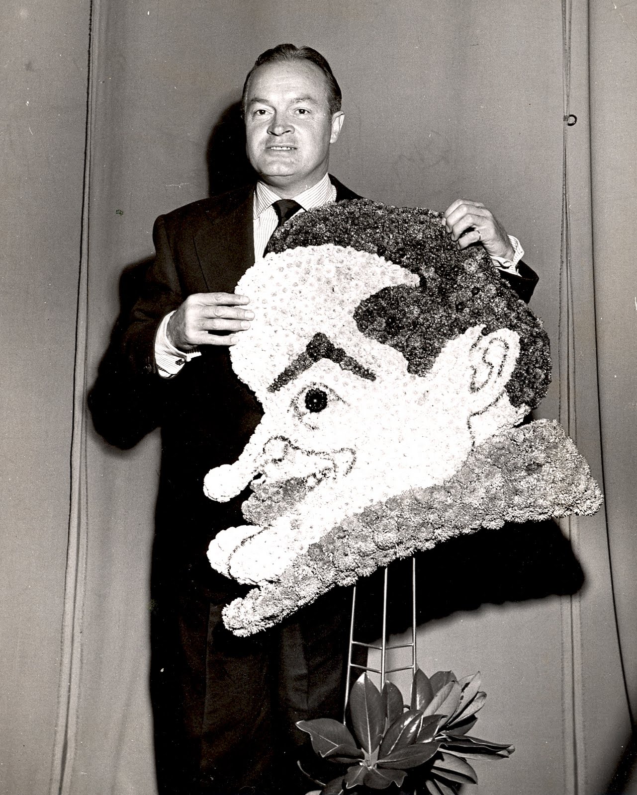 The Museum of the San Fernando Valley: THE SAN FERNANDO VALLEY'S STAR ...