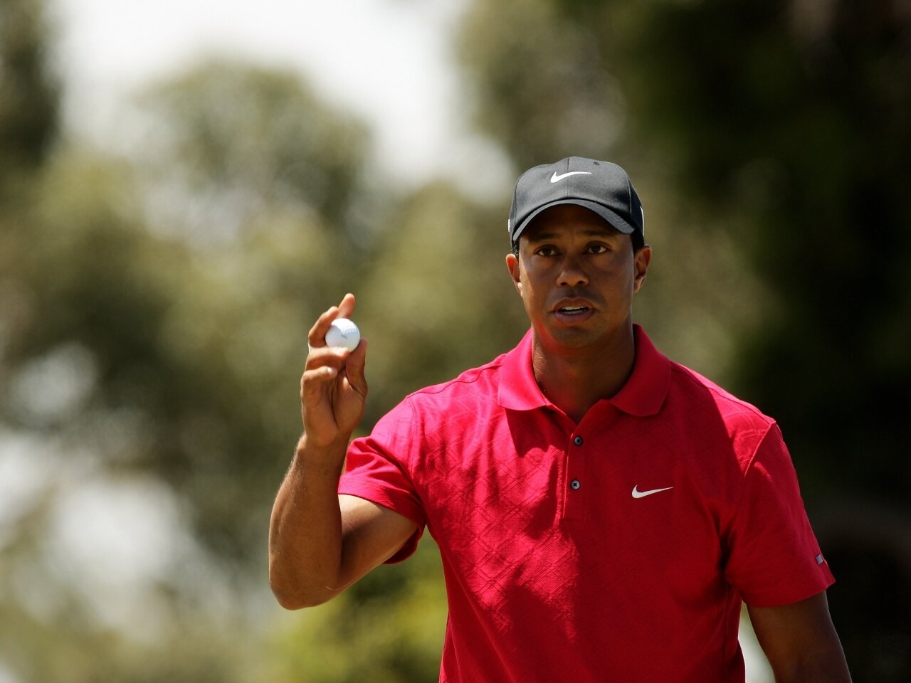 Tiger Wood Hd Wallpapers 2012 | A Blog All Type Sports