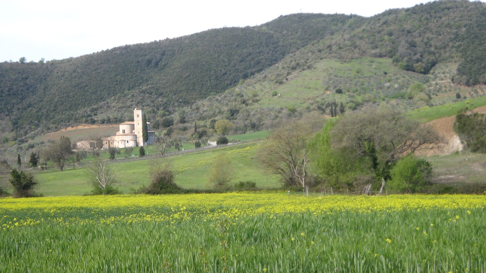 SANT'ANTIMO ABBEY - TUSCANY'S ROMANESQUE TREASURE