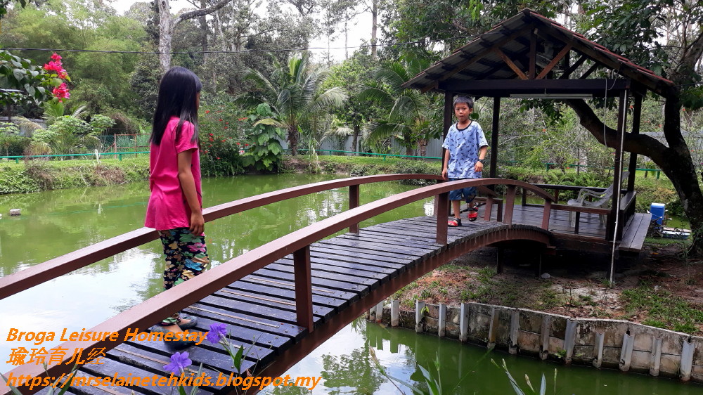 瑜玲育儿经 (Elaine Teh): Broga Kampung Chalet、Broga Leisure Homestay