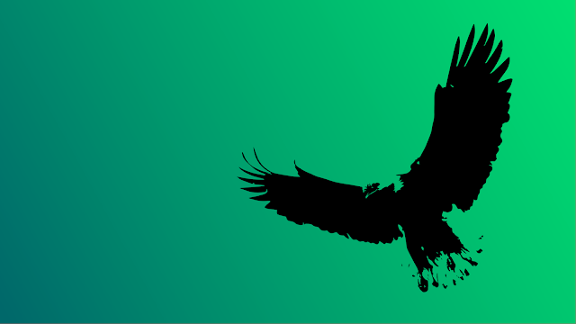 Eagle Wallpaper HD