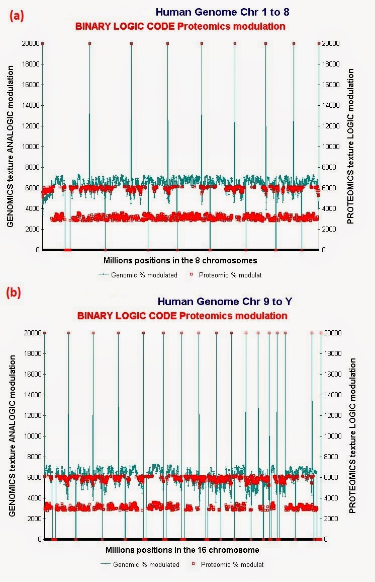 golden ratio and numbers in DNA- CODEX BIOGENESIS: les 13 codes de l ...