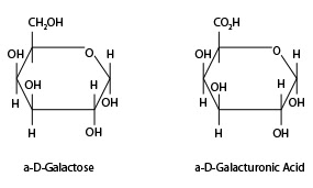 Scientific Explorer: Jam Science