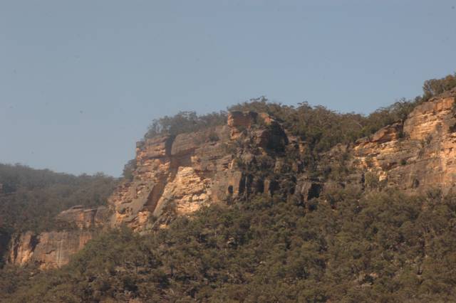 The Nature of Robertson: Orchids and Birds at Bullio