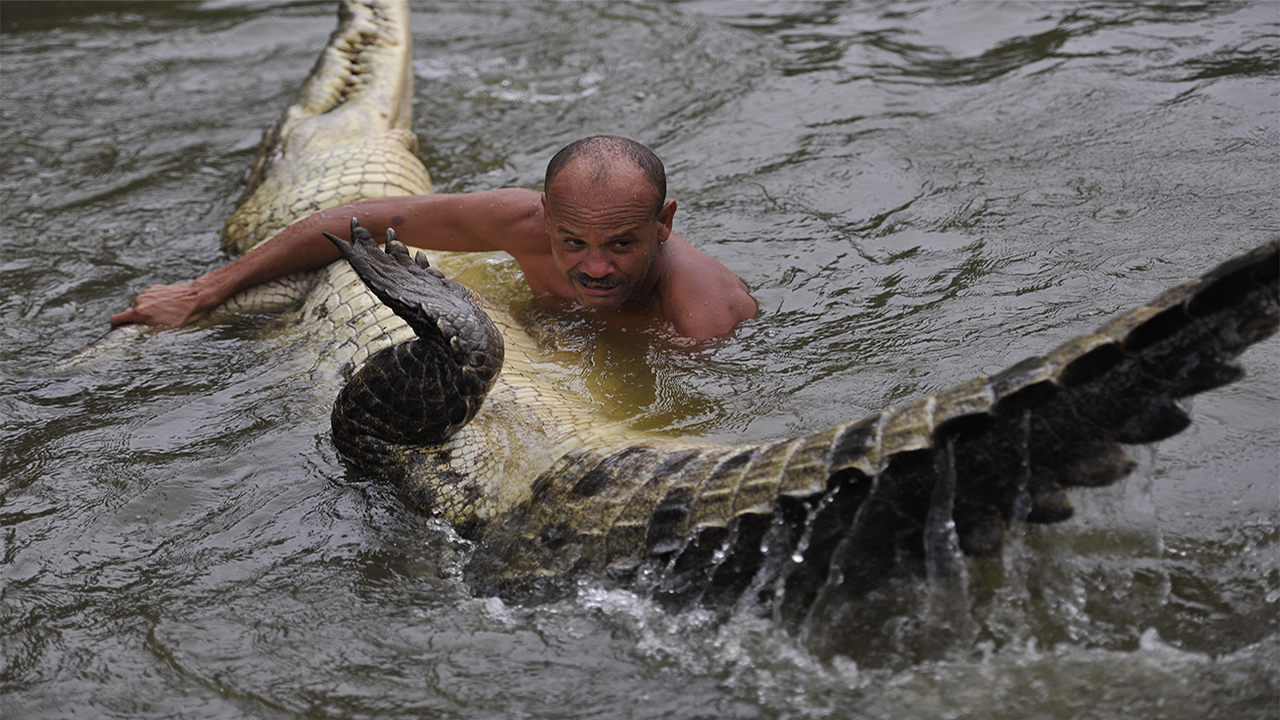 depo: Costa Rica Chito and Pocho The Famous Crocodile Man v2