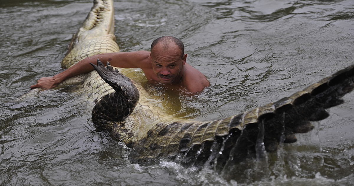depo: Costa Rica Chito and Pocho The Famous Crocodile Man v2