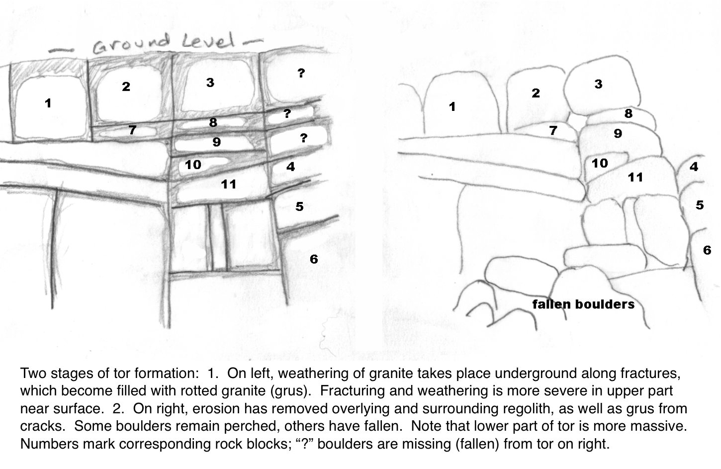 In the Company of Plants and Rocks: Creatures of Stone II -- genesis