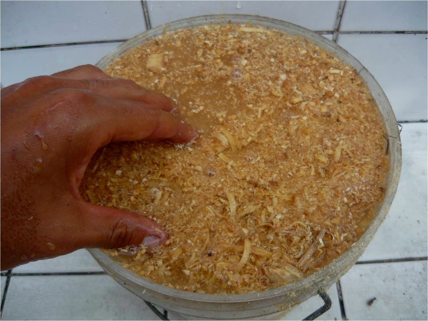 ALTERNATIVA ECOLÓGICA: LAVADO DEL ASERRÍN PARA USARLO EN EL BIOHUERTO