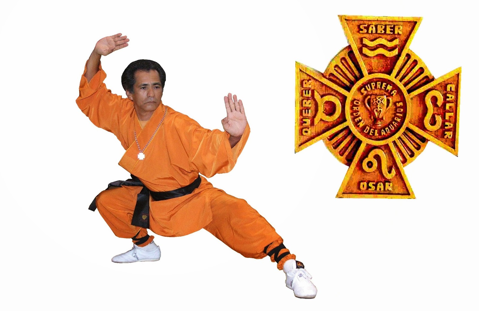SHAOLIN SHEN CHUAN 小森林精神拳头