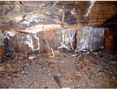 Specialized Outsource Solutions Blog News, Updates, and Tips: IS YOUR ...