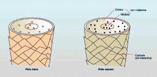"La divina Estetica": septiembre 2015