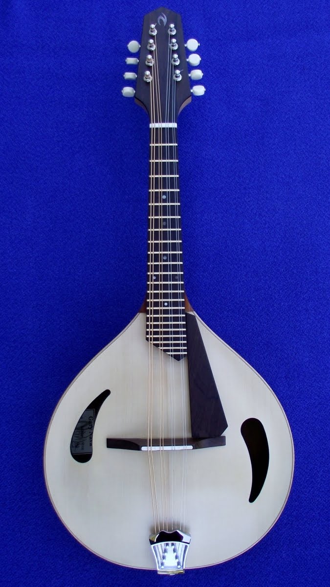 A Luthier's Blog: Nava Archtop Mandolin