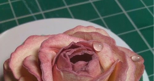 Flower Tutorial using Spellbinders Rose Creations Die - The Peace Rose