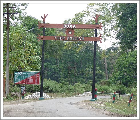 Beautiful Forest Trip at Buxa Tiger Reserve this Durga Puja 2013 ...