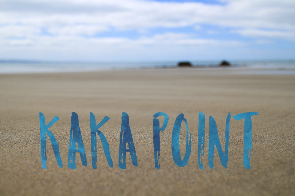 ink + adventure: a picnic at Kaka Point