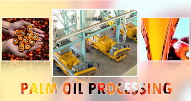 palm oil equipment manufacturing, exports and sales: High technology ...
