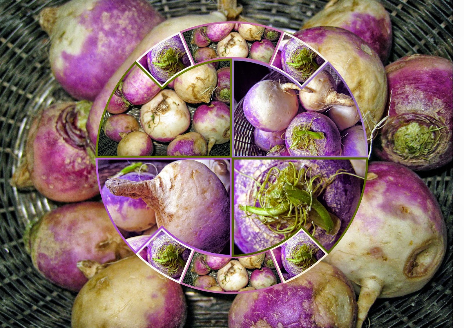 SOS 100 % LÉGUMES INVASION: NAVET : 100% NAVET INVASION