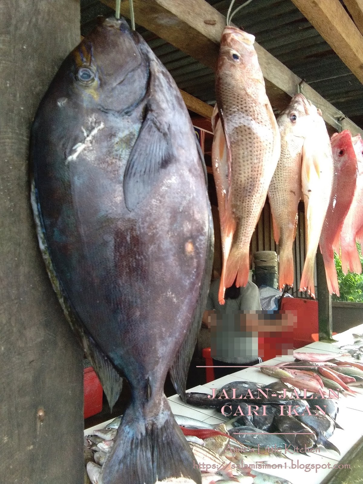 Memburu Ikan di Kala Senja - Amie's Little Kitchen