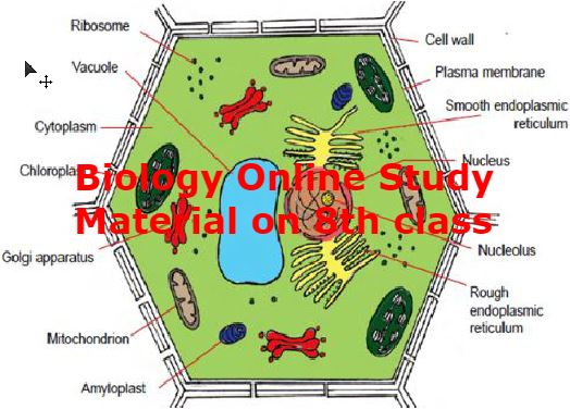 Biology Online Study Material on 8th class - | Bioinformatics