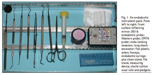 Endodontic: INSTRUMENT PACK