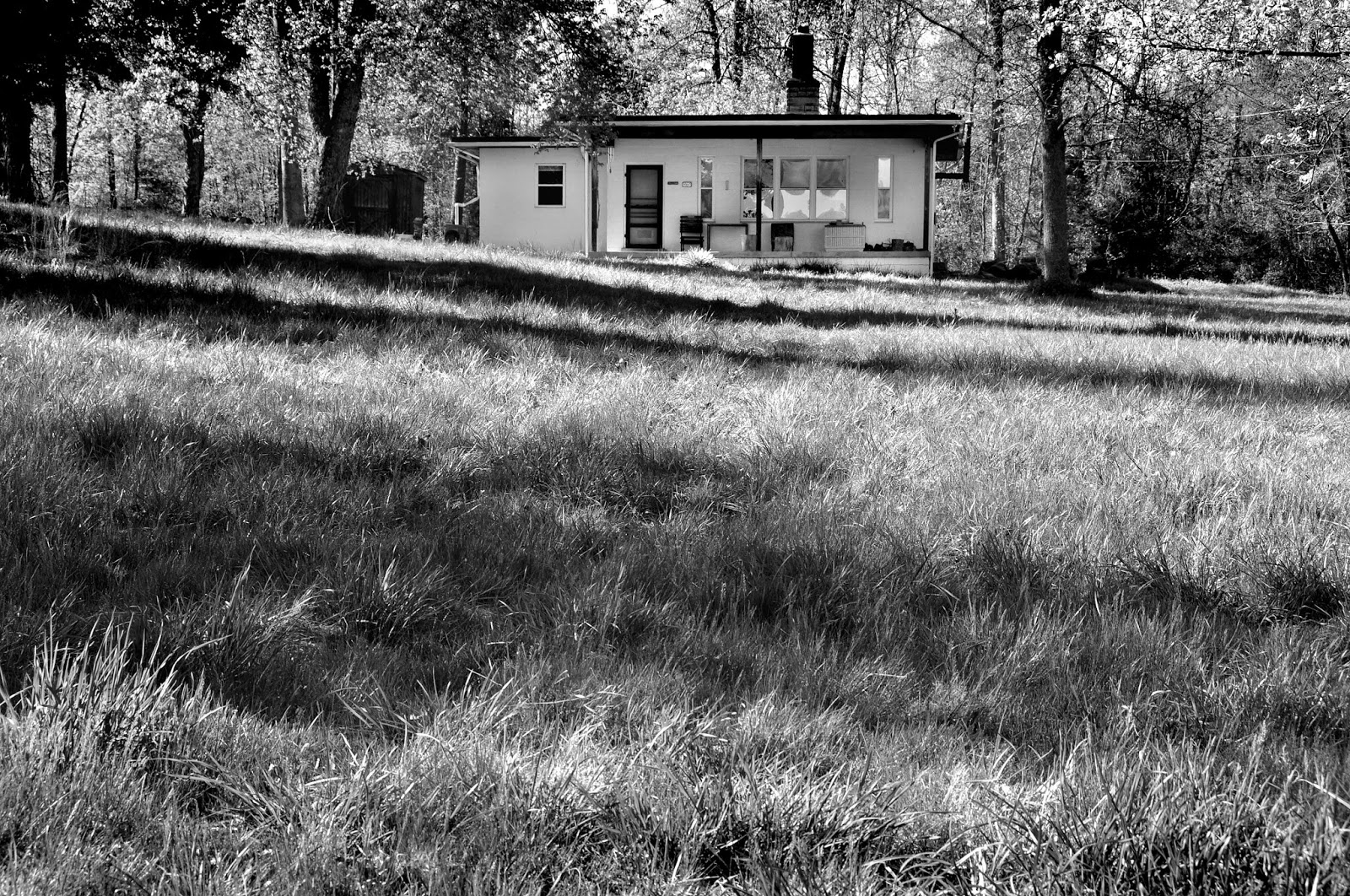 A Photographic Sage: Thomas Merton's Hermitage...