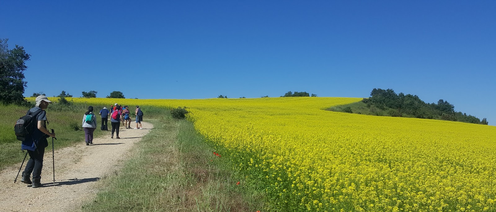 Atzegi Mendian: Albergue de Barria (Araba). 22, 23 y 24 junio 2018 ...