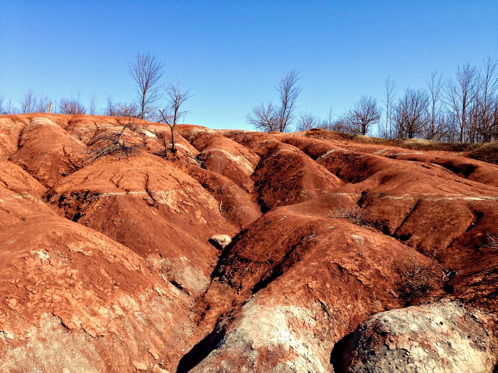 Dundas Valley Outdoors: Discovering the Cheltenham Badlands Trail