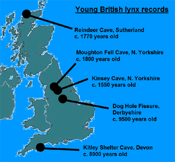 Neolithic Britain: Aurochs, Bear, Lynx, Elk Which 2 animals were ABLE ...